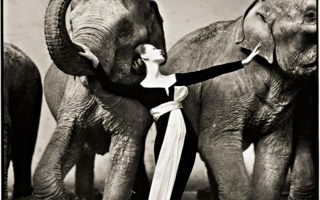 Leland Hirsch’s Private Collection Brings Fashion and Photography ...