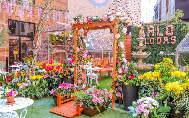 Cultural Stays: The Prince Kitano & The Arlo Hotels as NYC Art ...