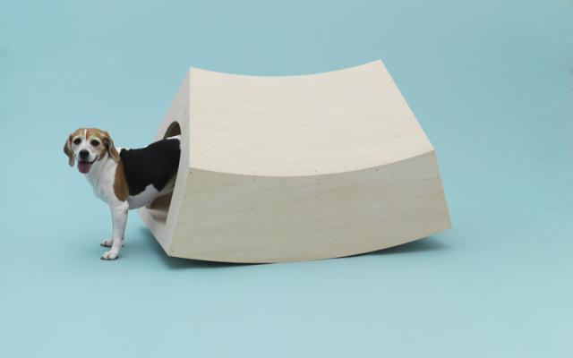 Architecture Unleashed: Designs for Dogs | Art & Object