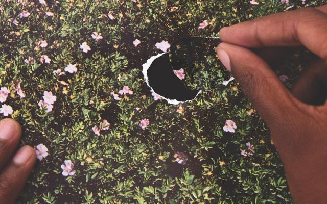 New Photography: Create, Collect, Compile | Art & Object