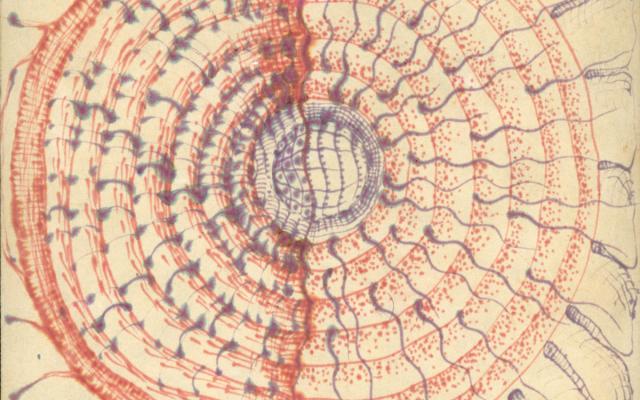 The Mystical Tradition: Drawings of Memory and Mystery at the Drawing ...